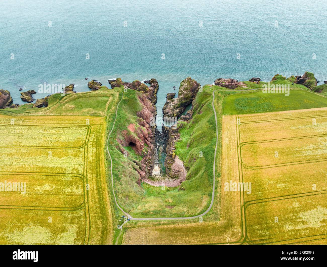 Angus county scotland hi-res stock photography and images - Alamy