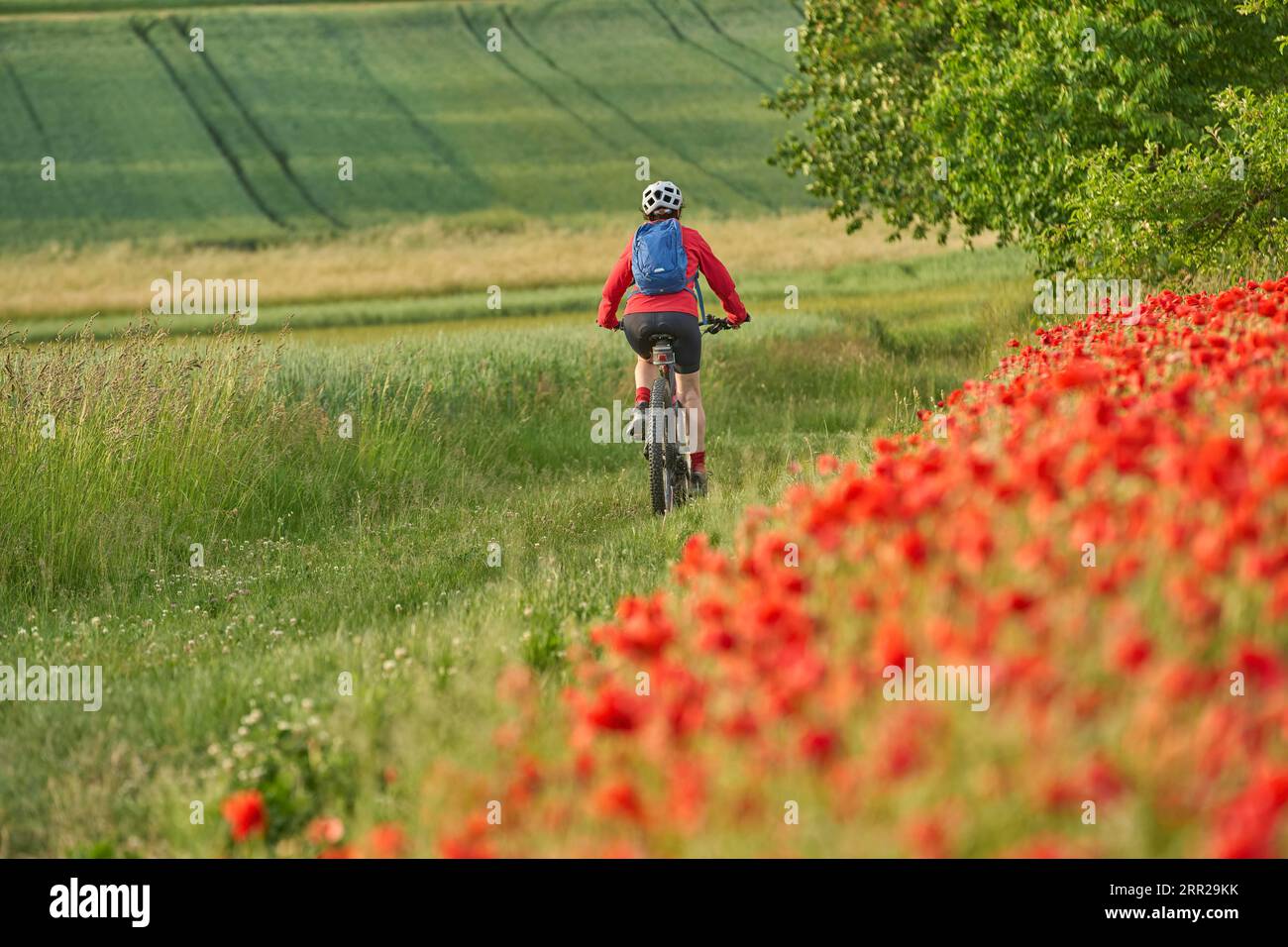 Nice, active senior citizen, riding her electric bike in a huge field ...