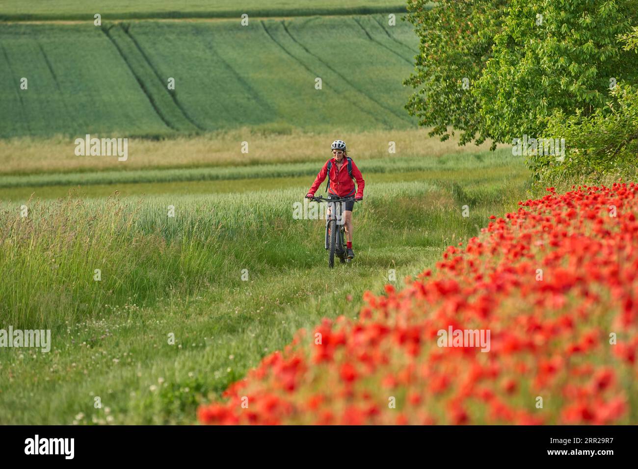 Nice, active senior citizen, riding her electric bike in a huge field ...