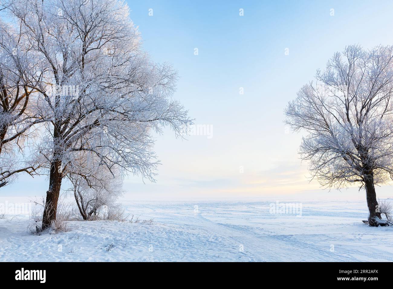 Beautiful winter landscape tree hi-res stock photography and images - Alamy