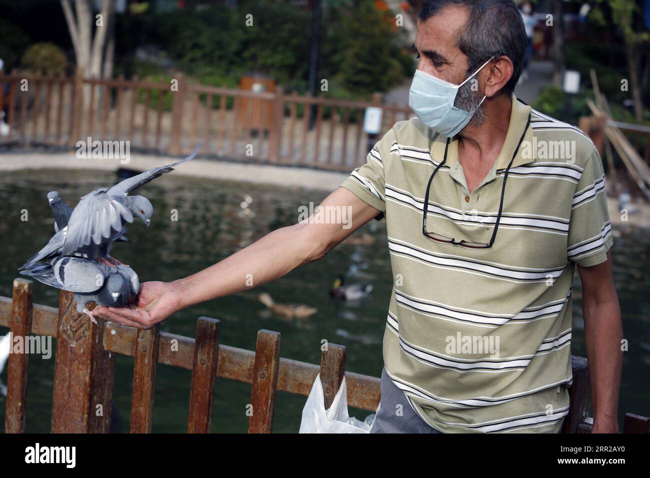 Man wearing pigeon mask new hi-res stock photography and images - Alamy