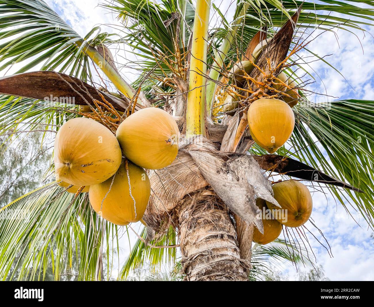 Madagascar beach lodge hi-res stock photography and images - Alamy