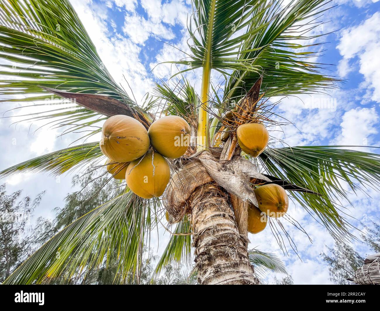 Madagascar beach lodge hi-res stock photography and images - Alamy