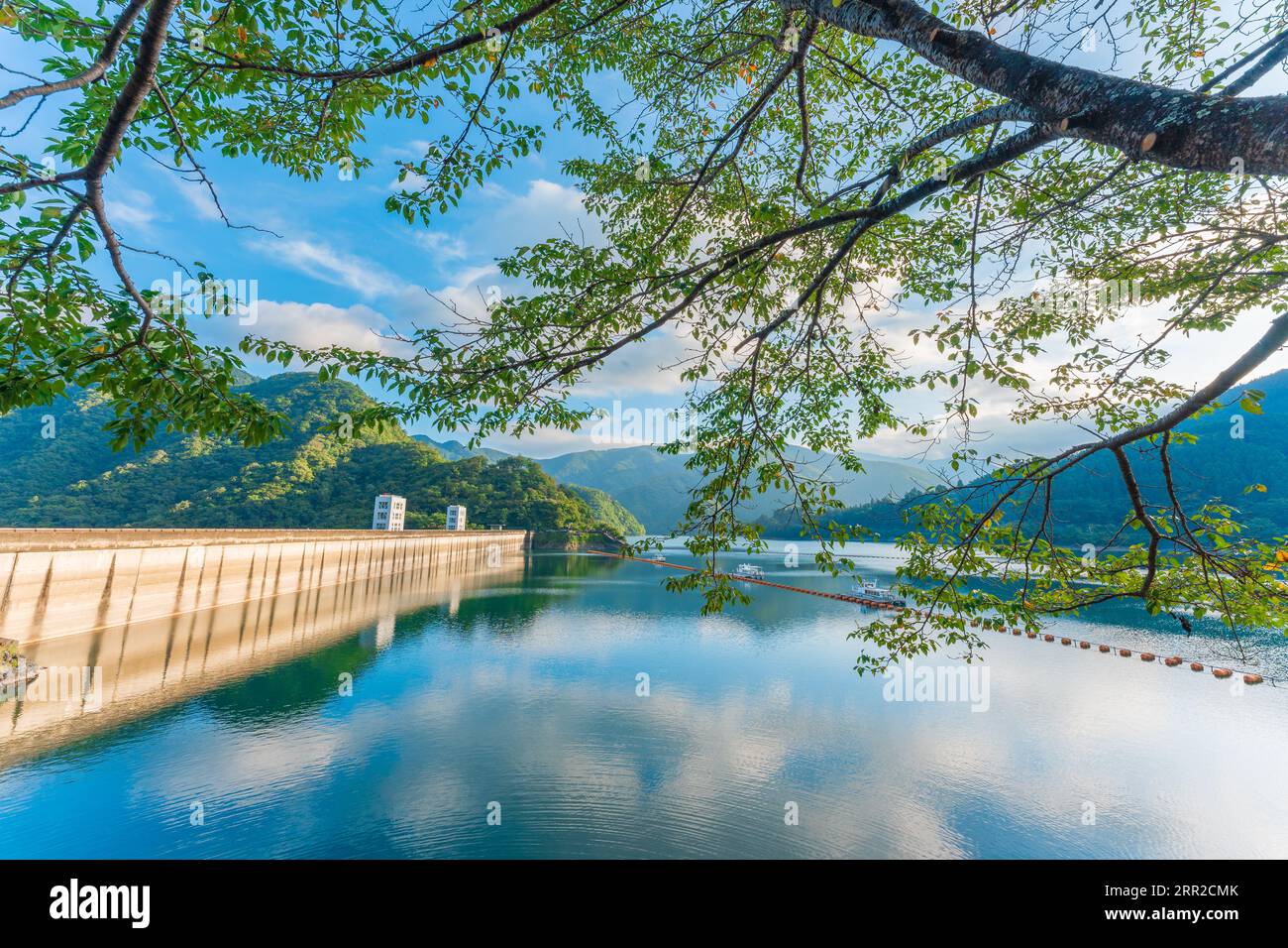 Okutama forest hi-res stock photography and images - Alamy