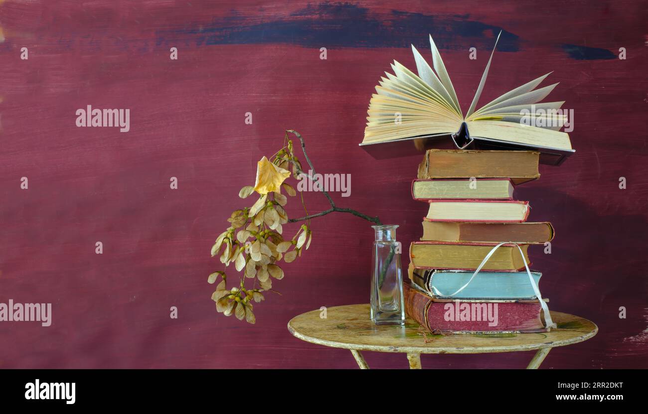 Stack of books with branch, autumn book fair,litertaure,relaxation ...