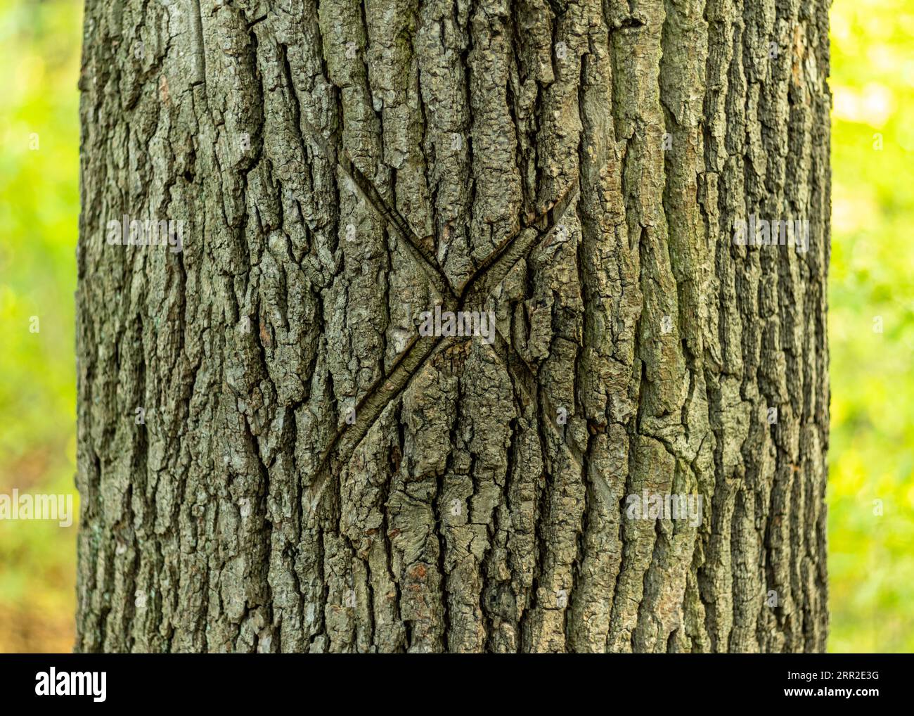 X shaped cross hi-res stock photography and images - Alamy