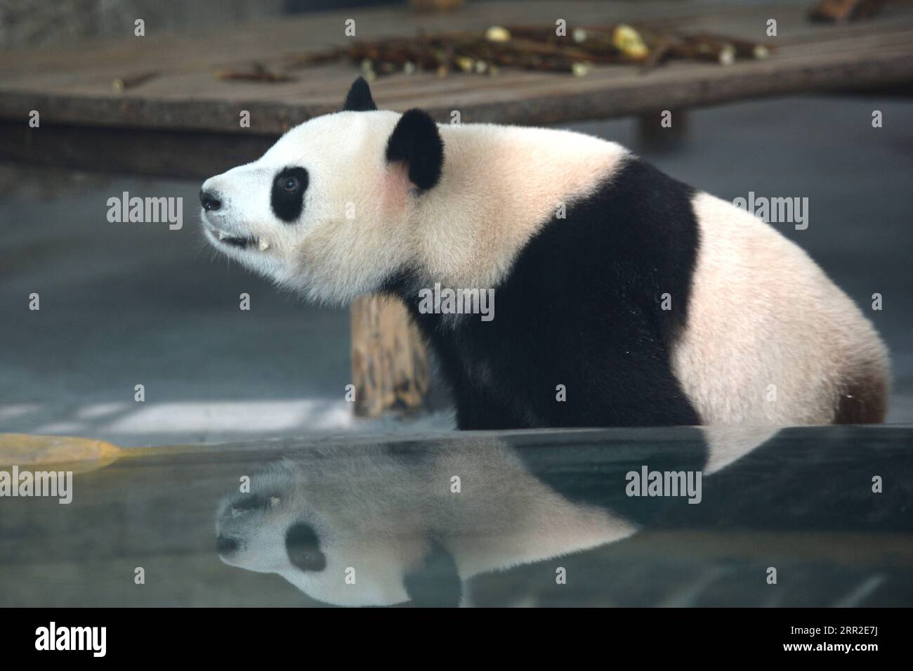 China hunan changsha giant hi-res stock photography and images - Alamy