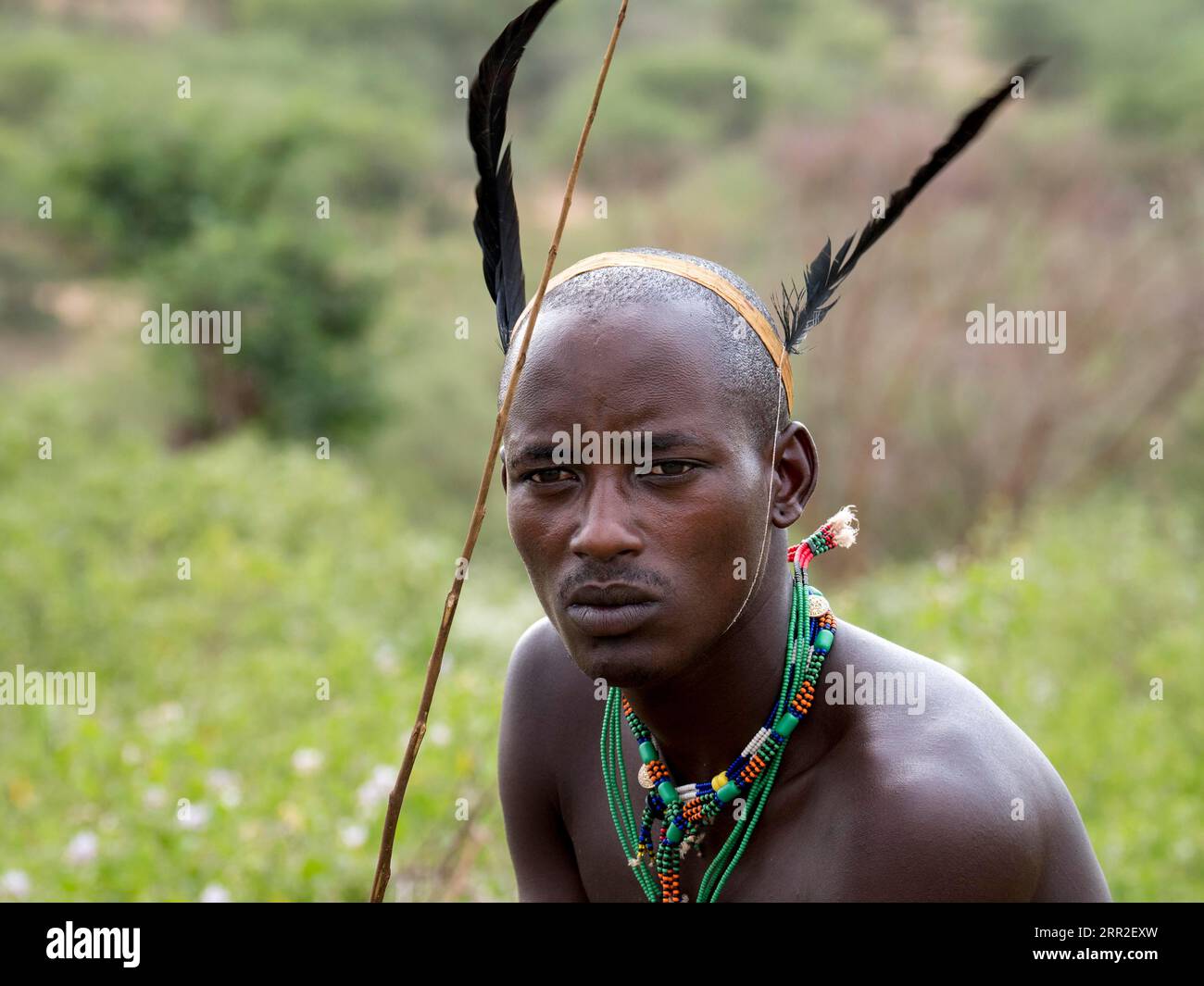 Young man from the Hamar tribe with feather headdress, portrait, Omo ...