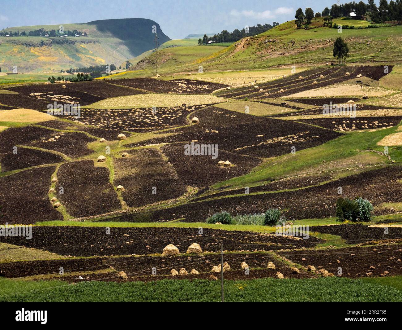 Ethiopian farmland hi-res stock photography and images - Alamy
