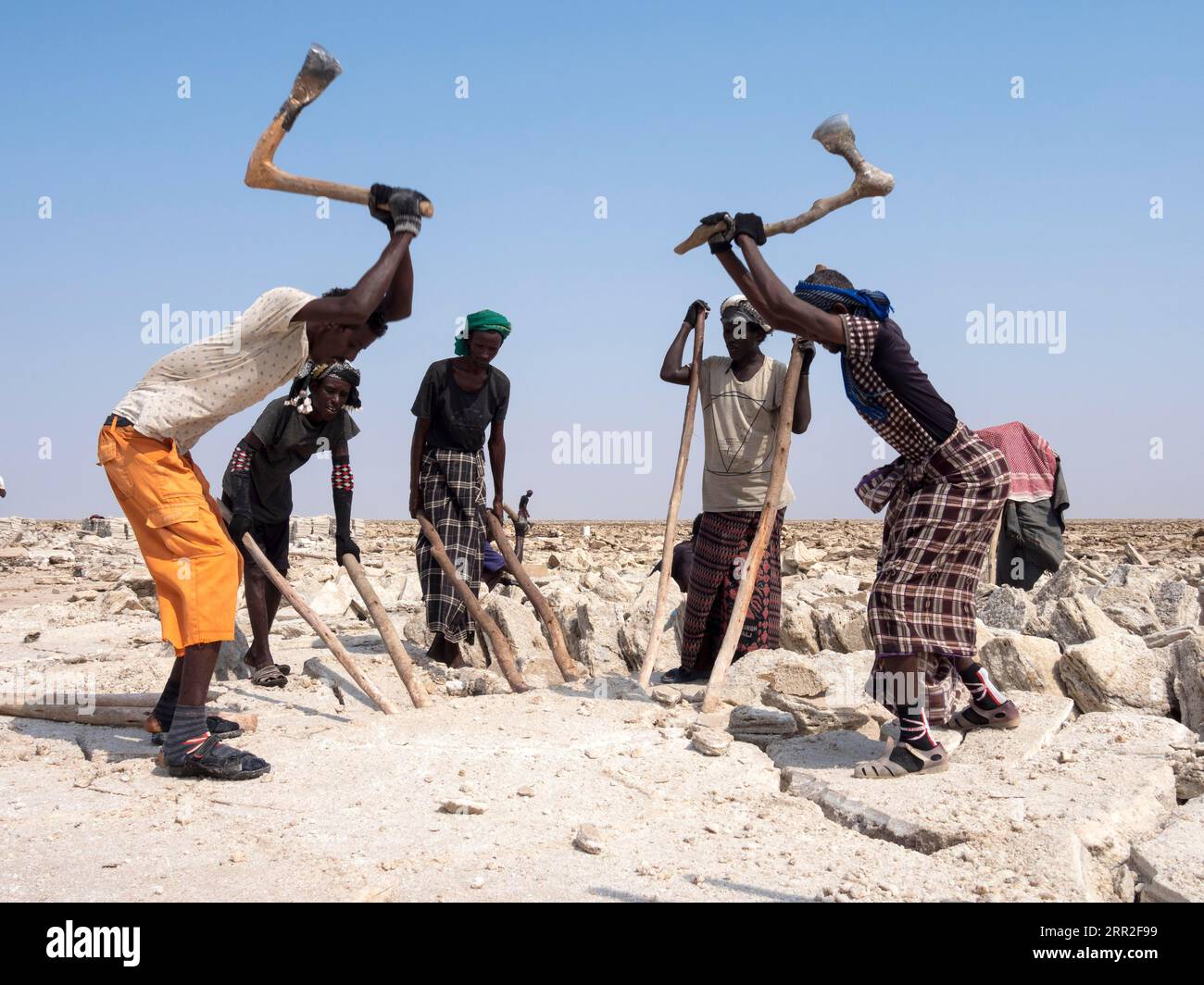 Salt extraction, workers mining salt, Dallol, Danakil Desert, Ethiopia ...