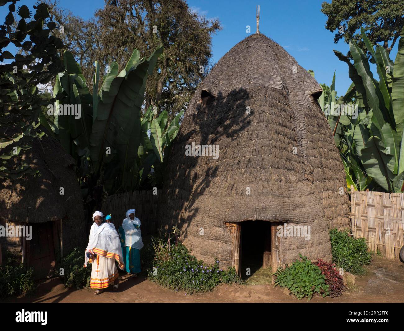 Dorze village hut, Ethiopia Stock Photo - Alamy