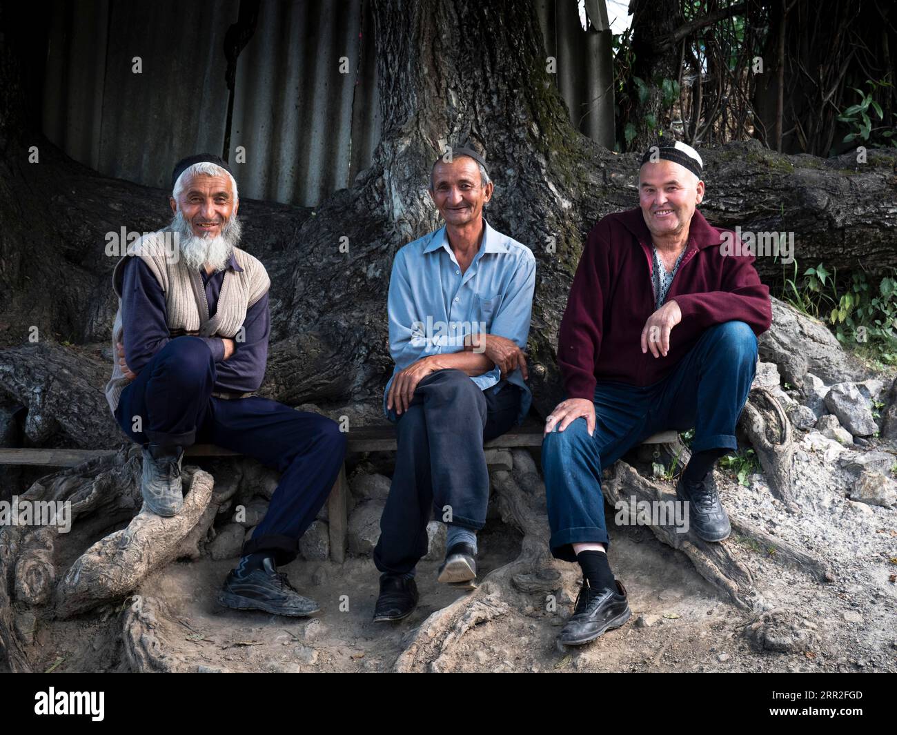 Three men sitting on a bench under a tree, Arslanbob, Kyrgyzstan Stock ...
