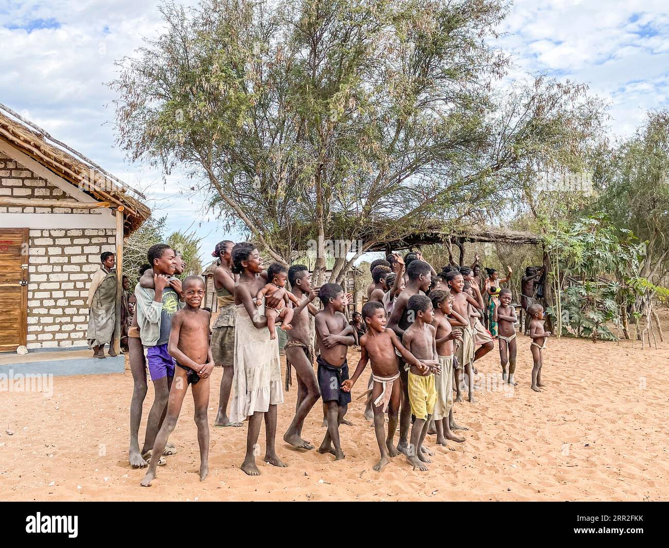 Mikea madagascar hi-res stock photography and images - Alamy