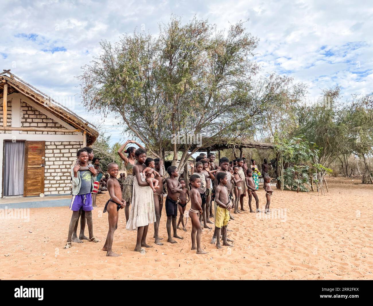 Mikea madagascar hi-res stock photography and images - Alamy