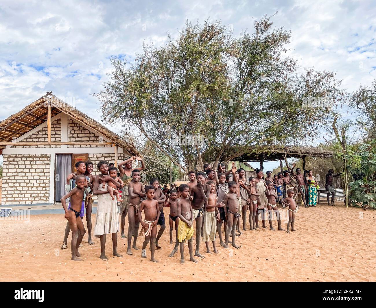 Mikea madagascar hi-res stock photography and images - Alamy