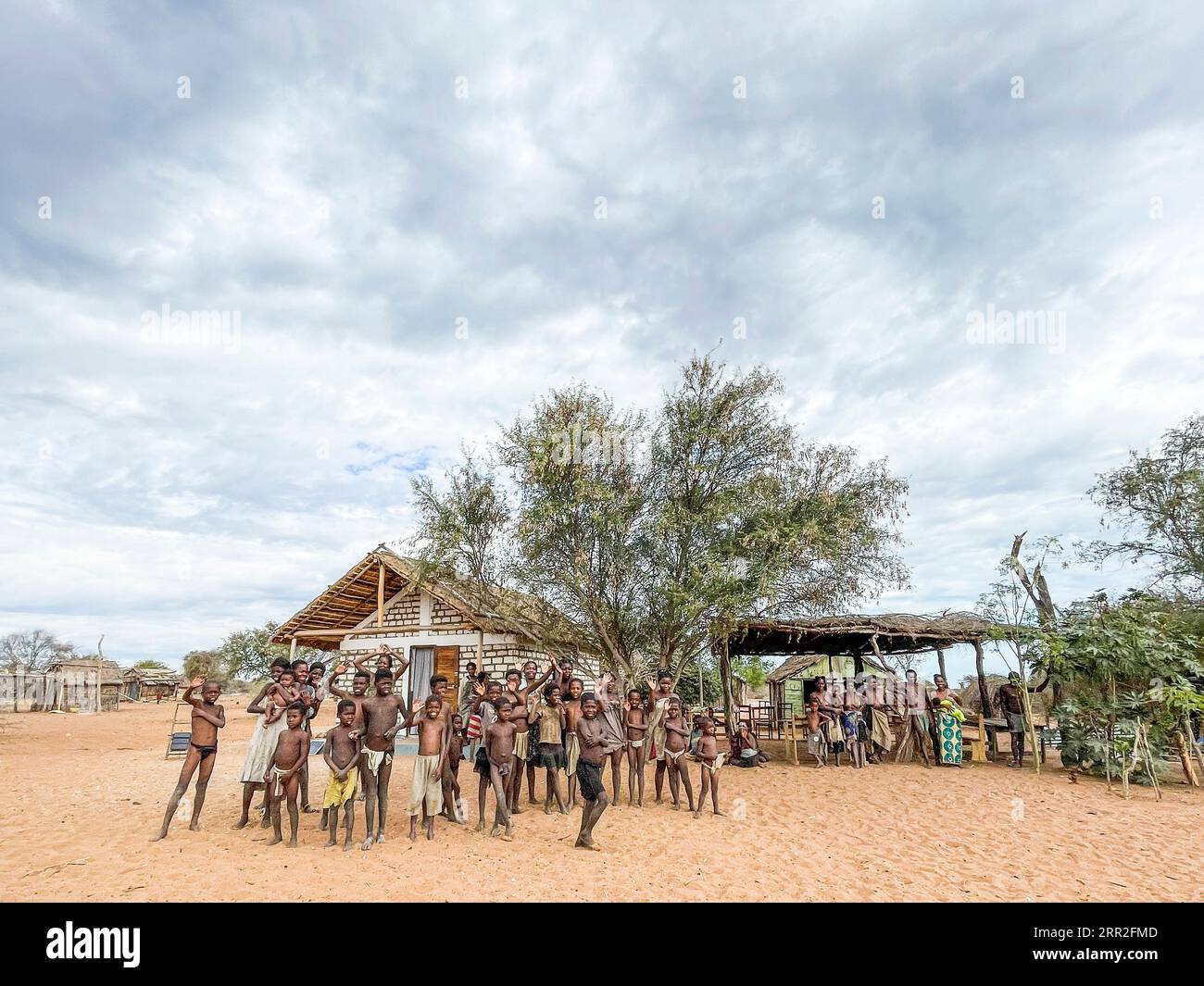 Mikea madagascar hi-res stock photography and images - Alamy