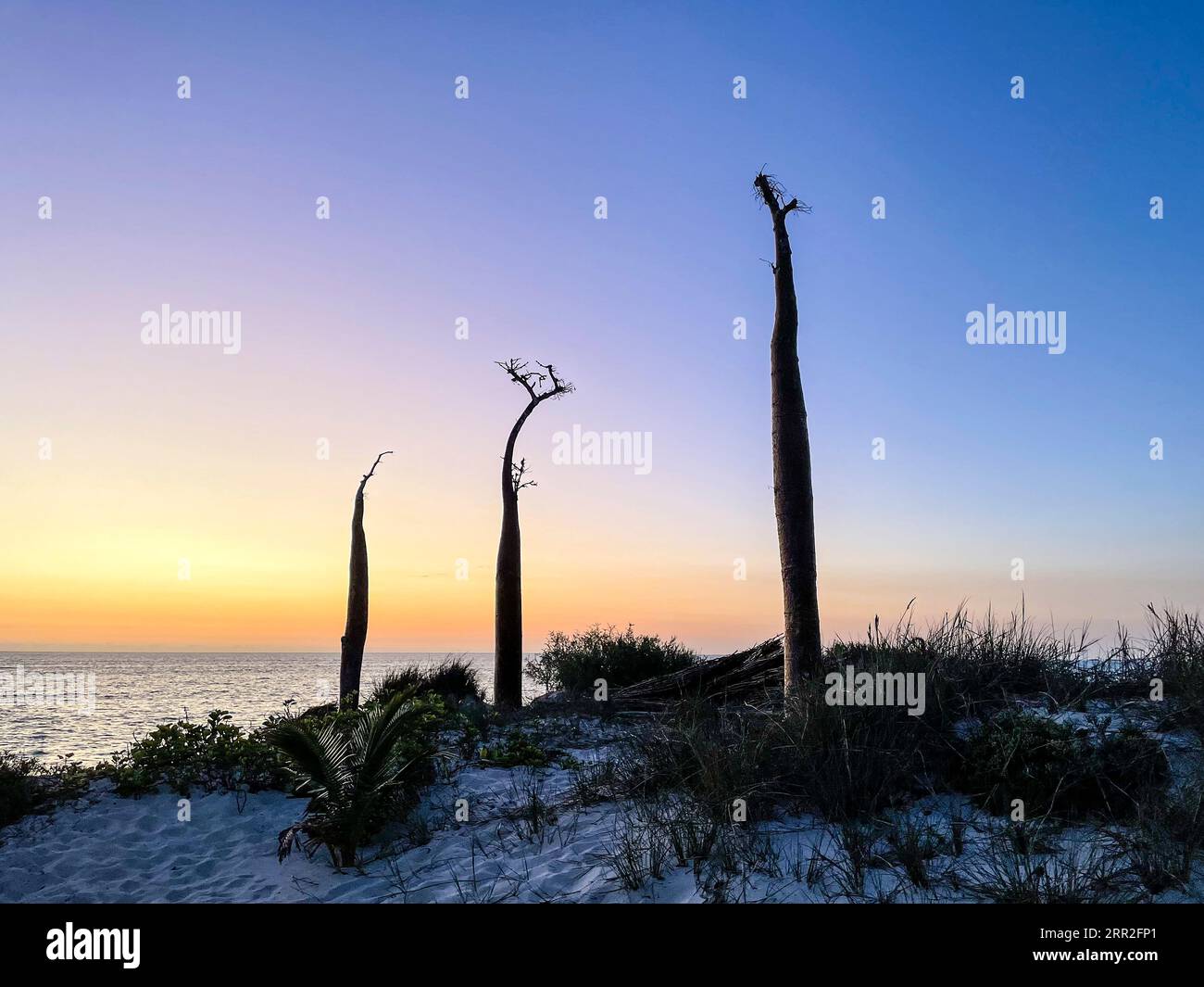 Madagascar, Indian Ocean, Ambatomilo Stock Photo - Alamy