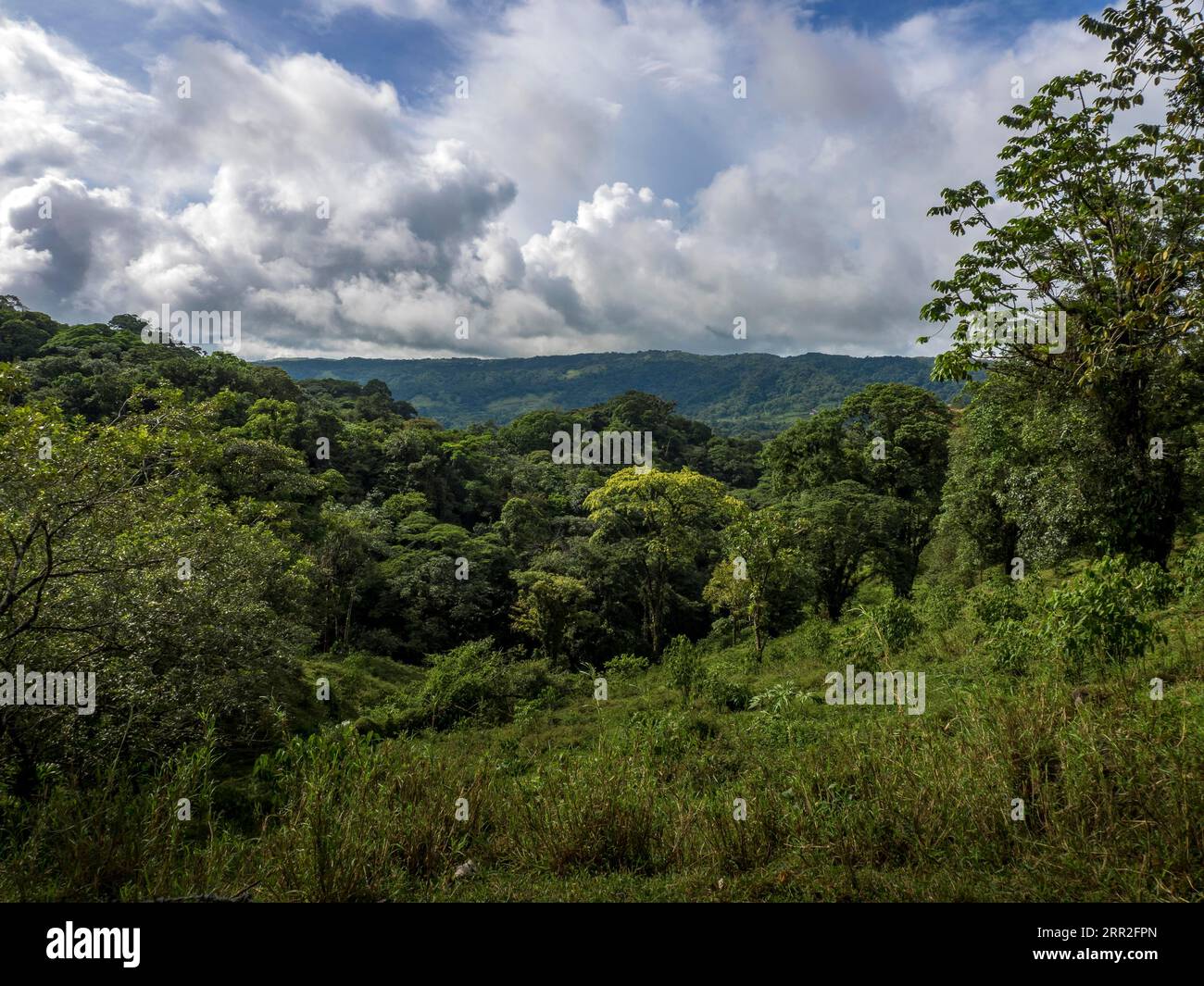 Arenal Rainforest, Mistico Arenal Hanging Bridges Park, Costa Rica ...