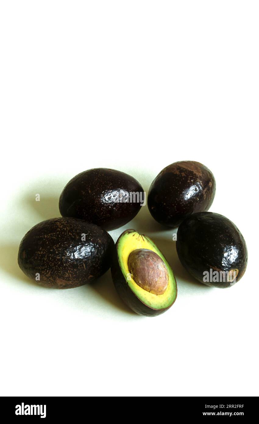 Avocado (Persea americana) black Stock Photo - Alamy