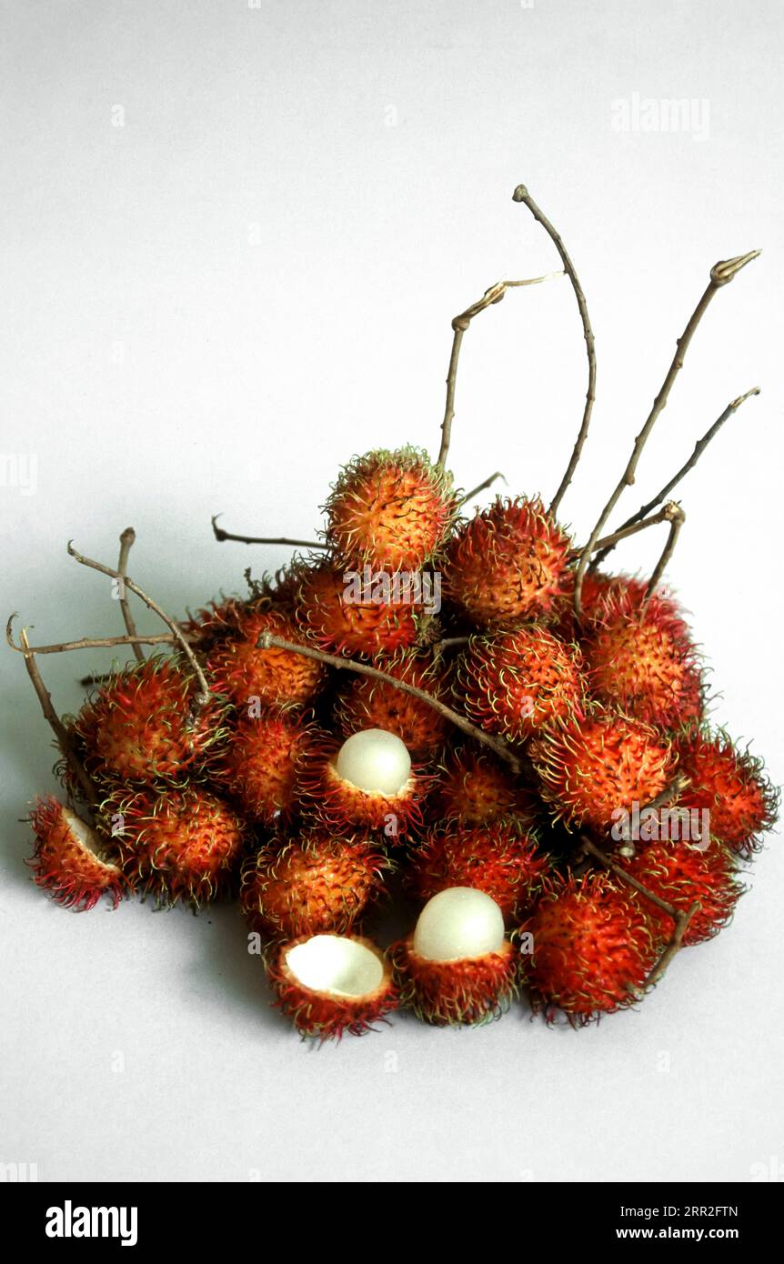 Rambutan (Nephelium lappaceum Stock Photo - Alamy