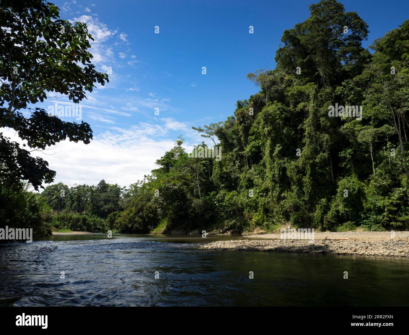 Yorkin hi-res stock photography and images - Alamy