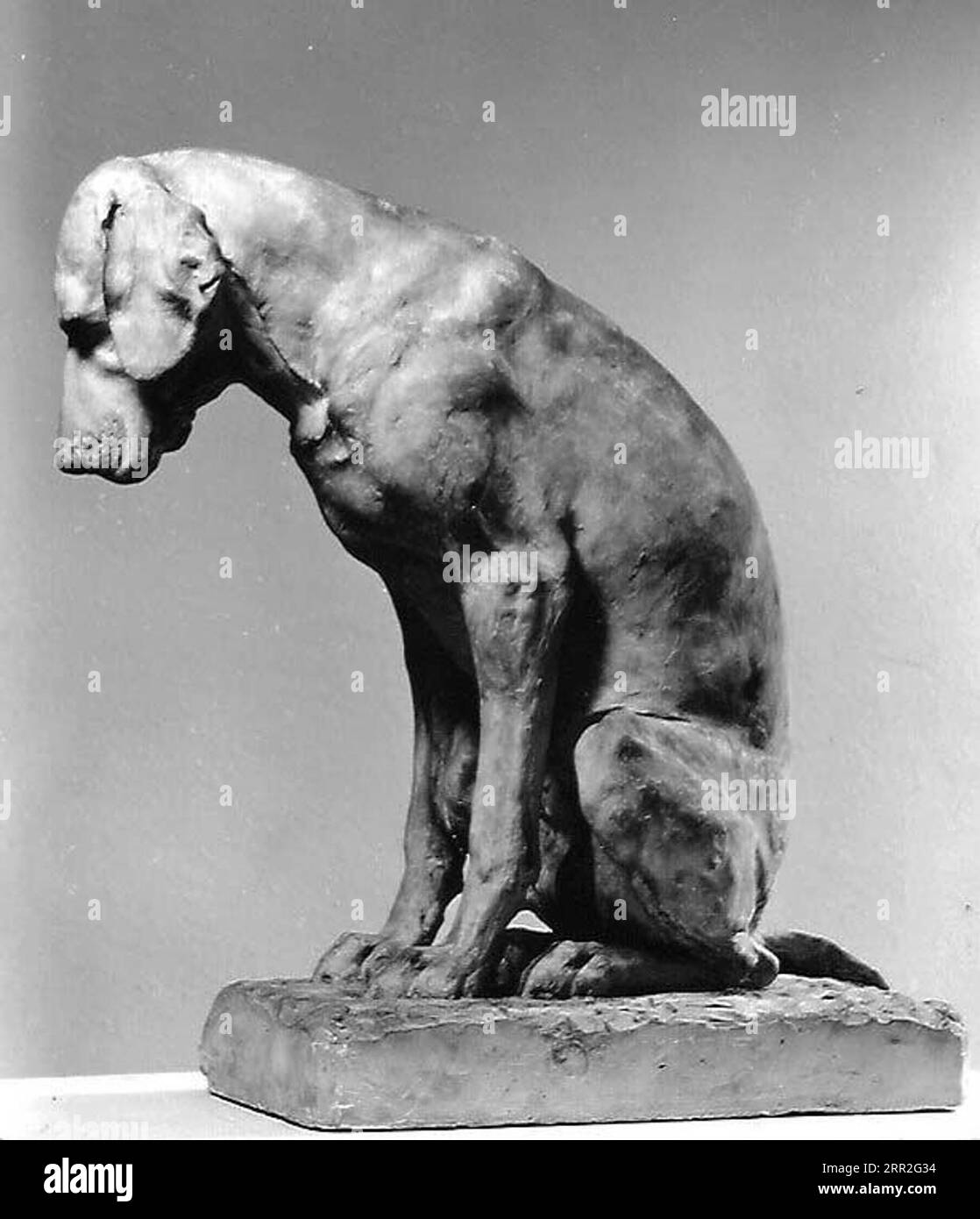 Seated Dog 1902 by Robert Alfred Dietrich Stock Photo - Alamy