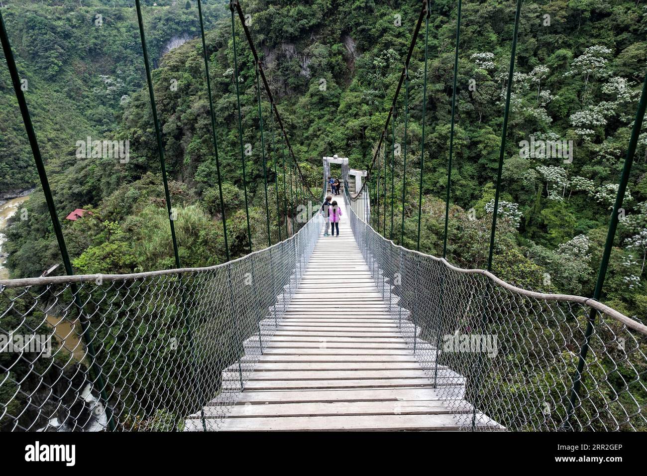 Suspension bridge at the Pailon del Diablo waterfall, Ecuador Stock ...