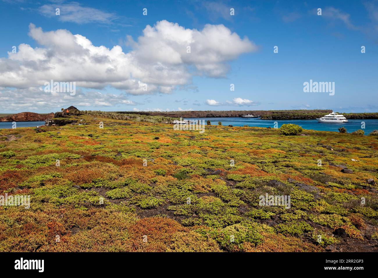 Isla santa cruz hi-res stock photography and images - Alamy