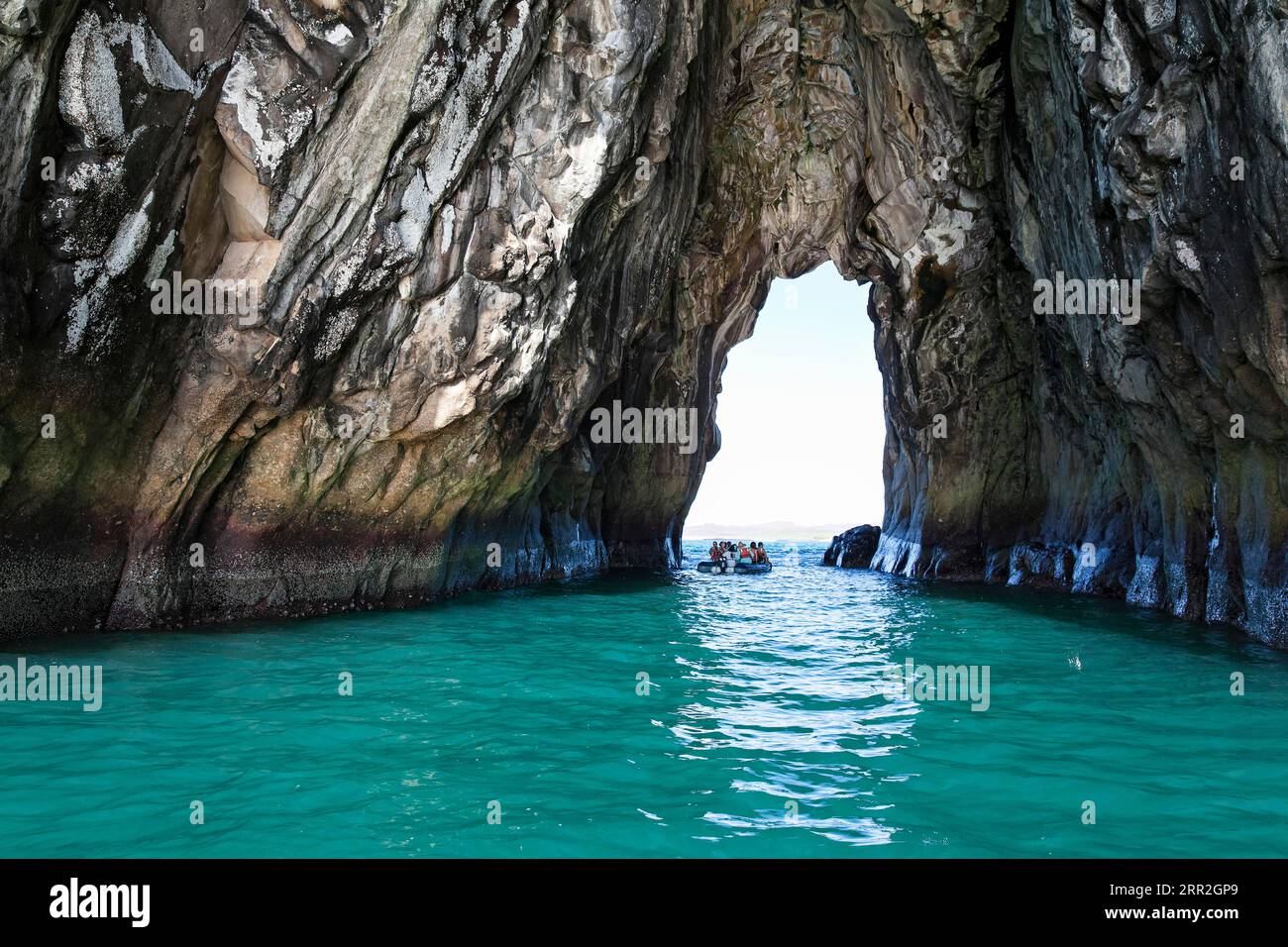 Ecuador isla genovesa hi-res stock photography and images - Alamy