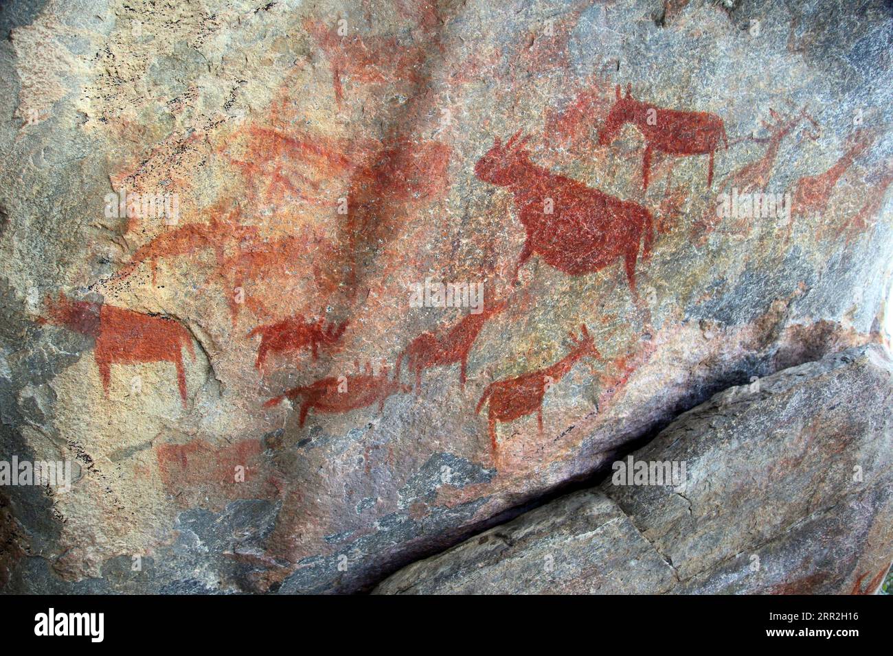 Rock paintings, Tsodilo Hill, Botswana Stock Photo - Alamy