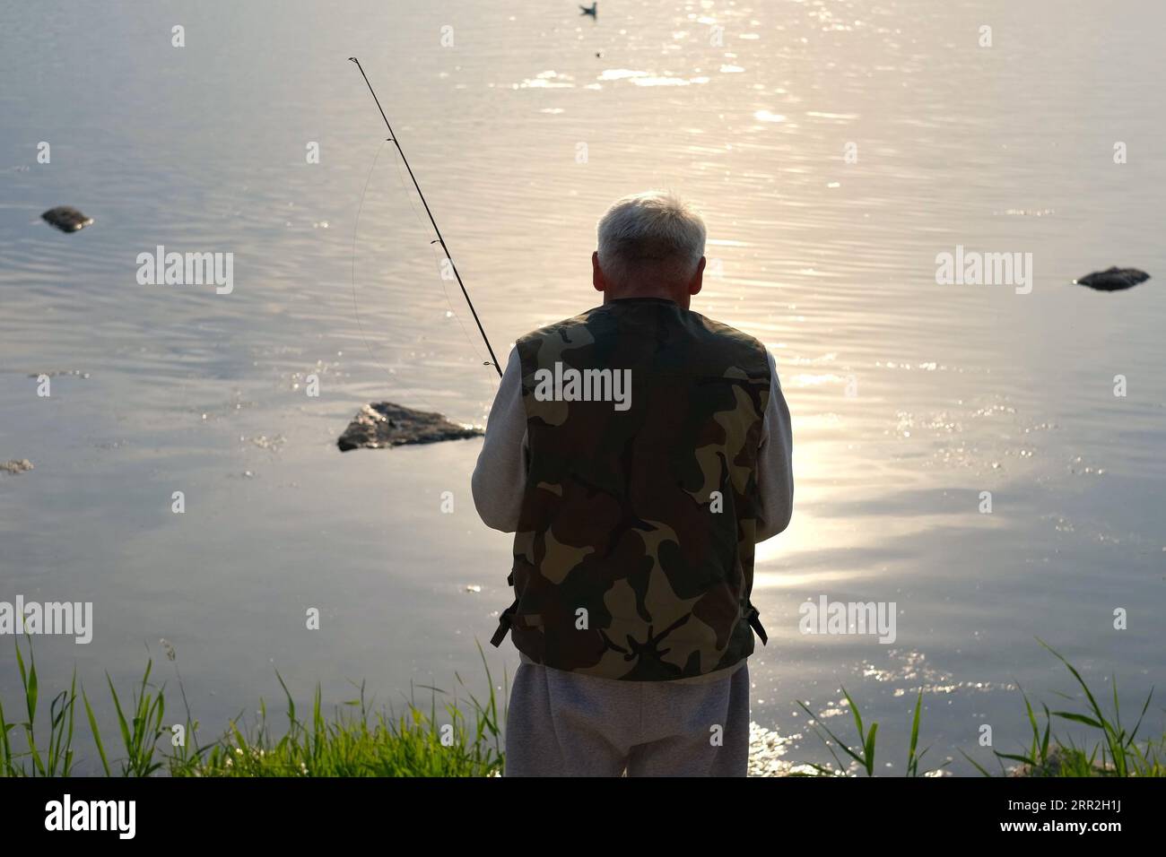 Old man fishing. Senior gray haired fisherman throws a spinning from ...