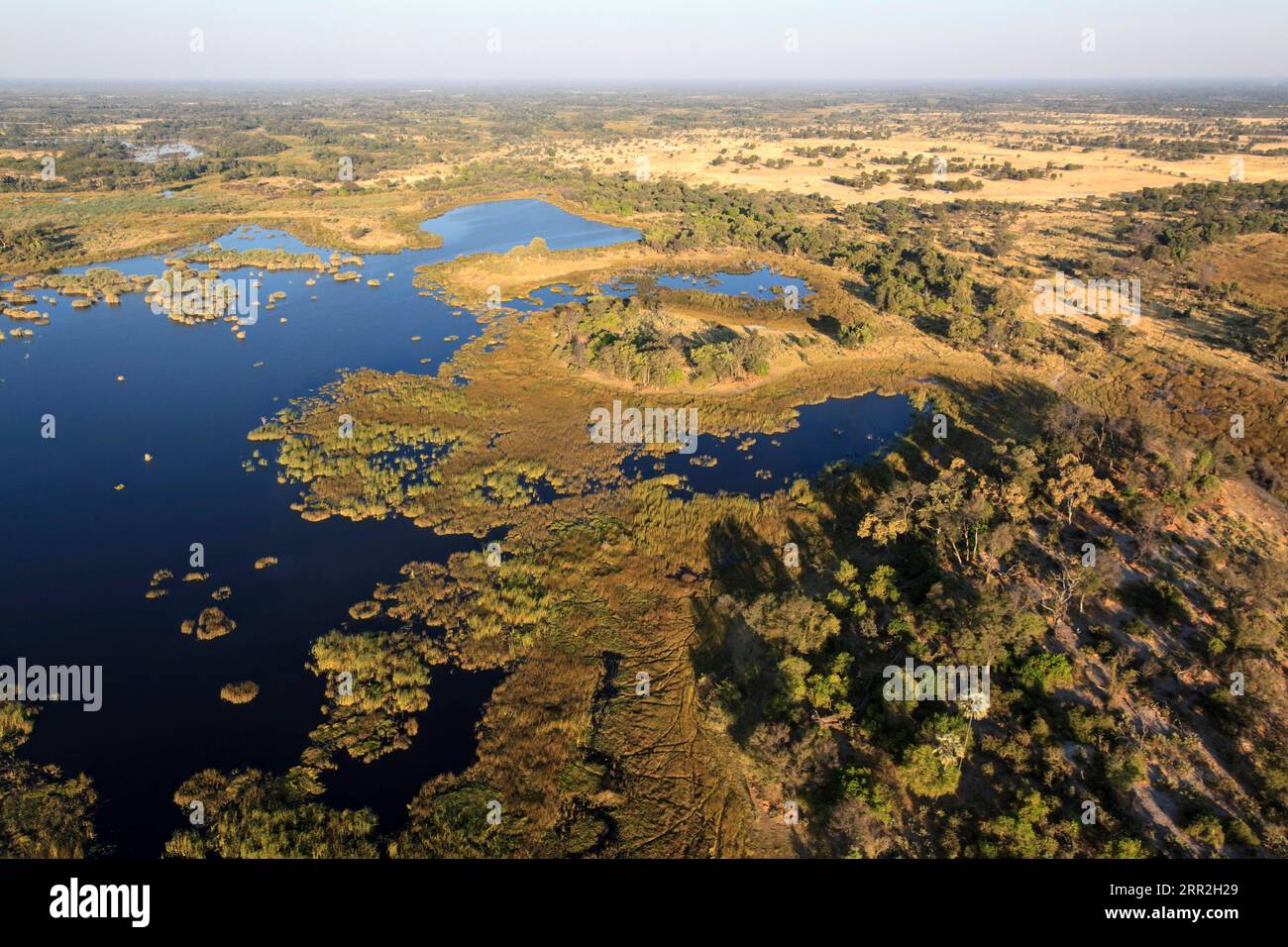 Aerial view, river landscape, Okavango Delta, North-West District ...