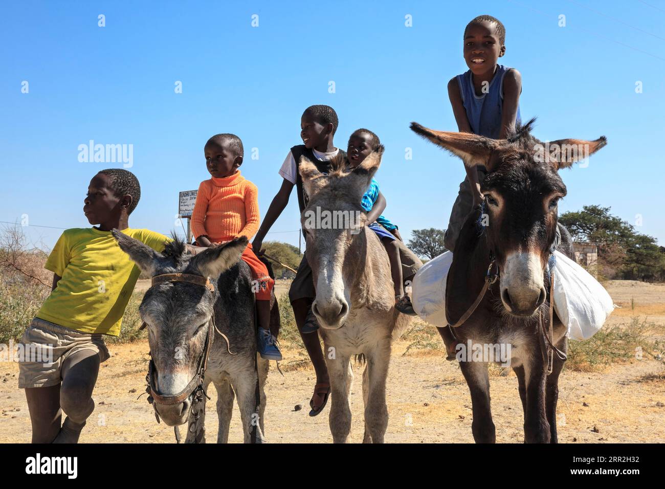 Bushman children, children of the Khoisan people with donkeys, Kalahari ...