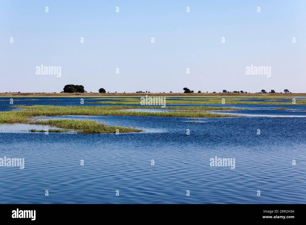 River landscape in the Namibian border area, Chobe National Park, North ...
