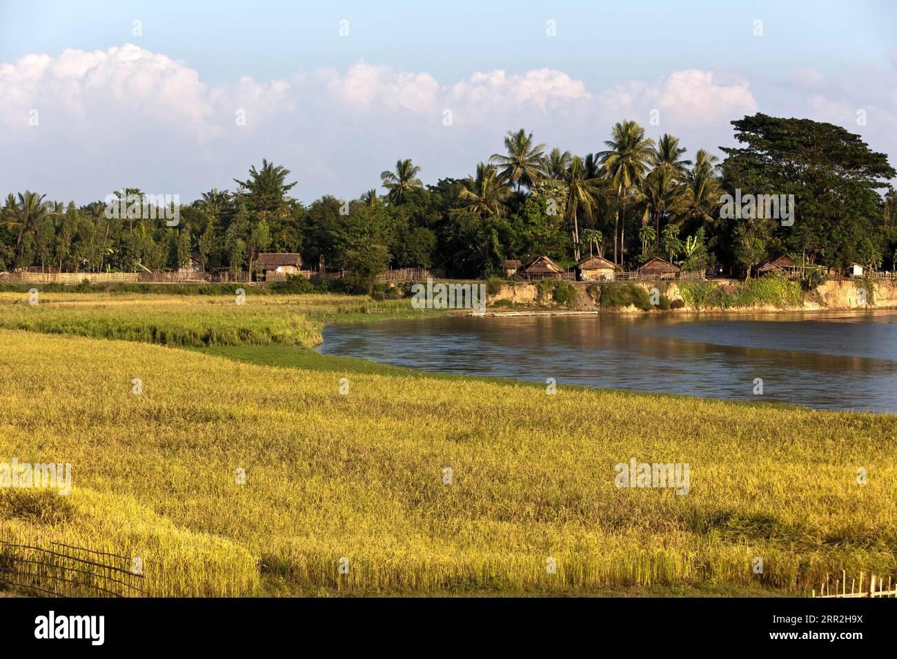 Bago division hi-res stock photography and images - Alamy