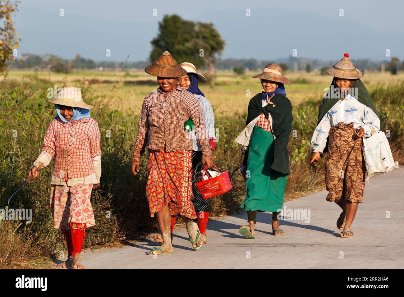 Myanmar woman work hi-res stock photography and images - Alamy