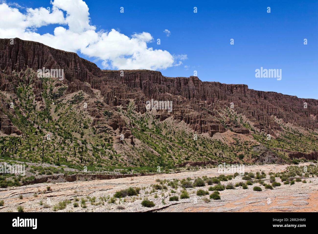 Humahuaca gorge hi-res stock photography and images - Alamy