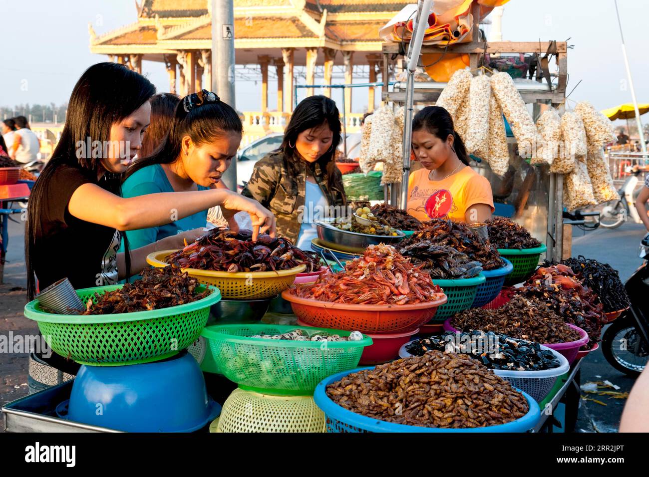 Roasted insects being sold at the market, Phnom Penh, Cambodia ...