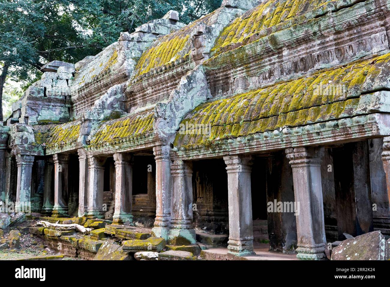 Old Pillared Hall, Angkor Ta Prohm, Cambodia, Southeast Asia Stock ...