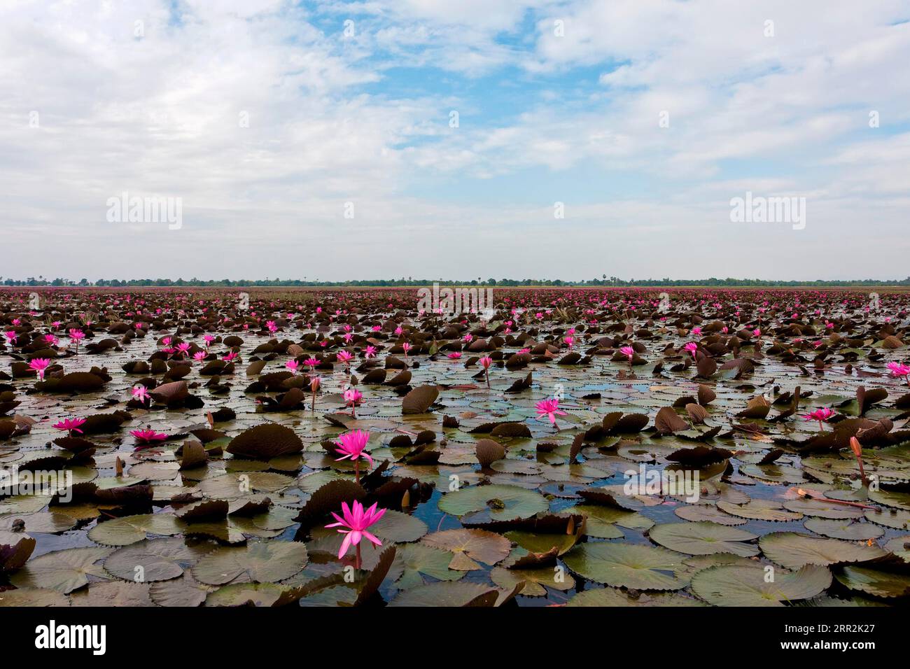 Cambodian landscape hi-res stock photography and images - Alamy