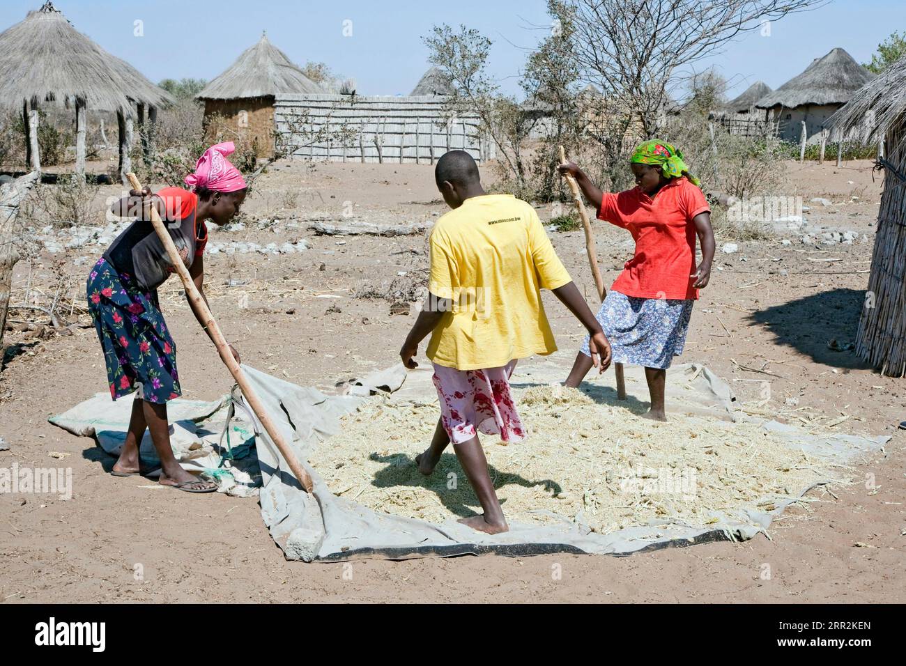 Women working in the village at Tsodilo Hills, Botswana Stock Photo - Alamy