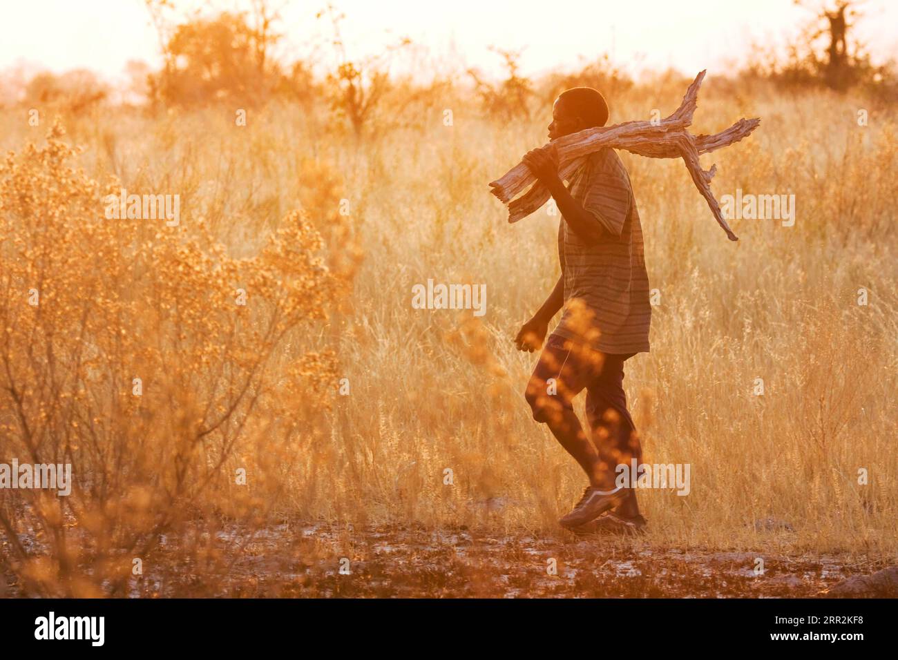 Botswanan man hi-res stock photography and images - Alamy