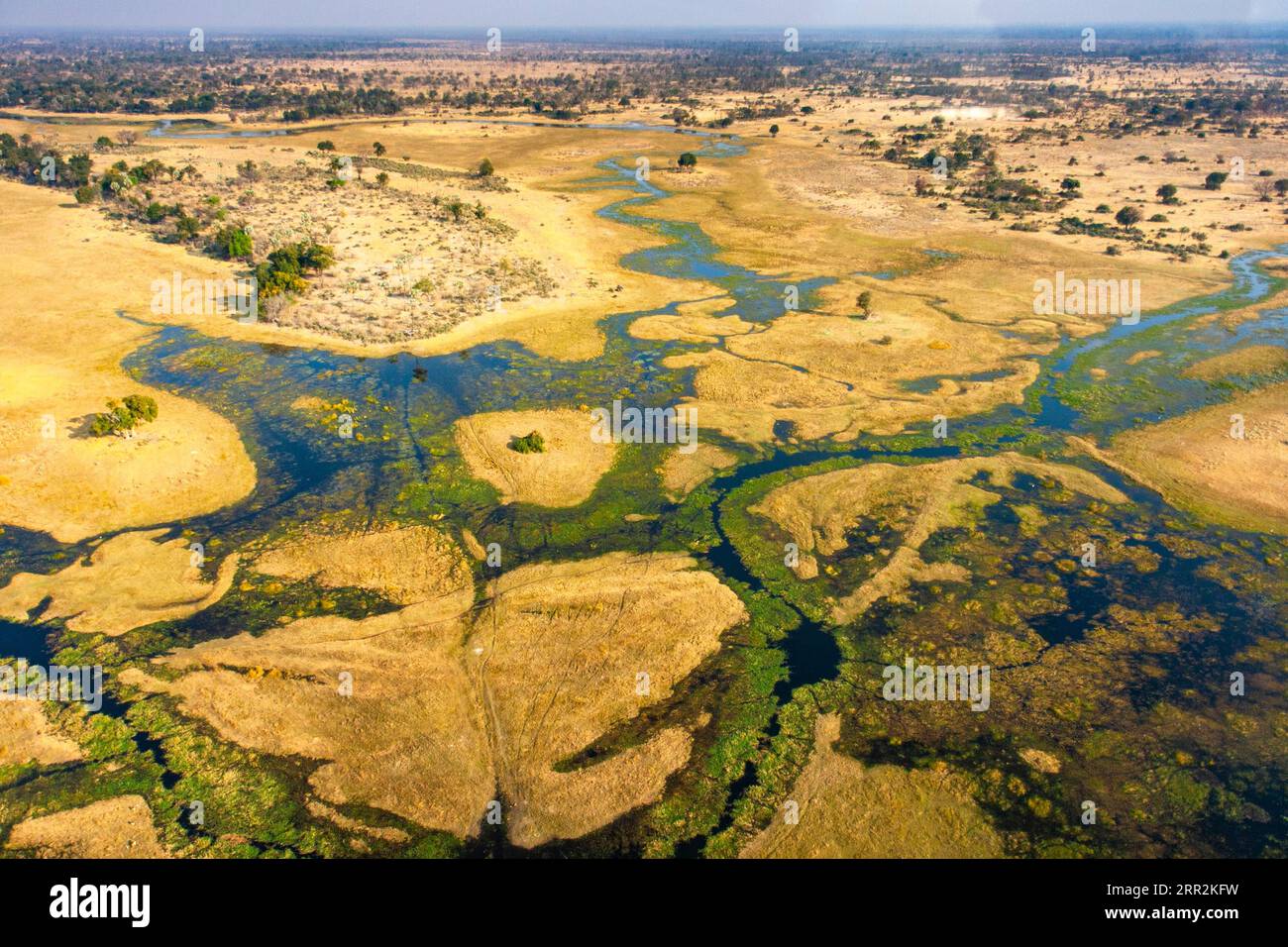 Okavango Delta, aerial view, Botswana Stock Photo - Alamy