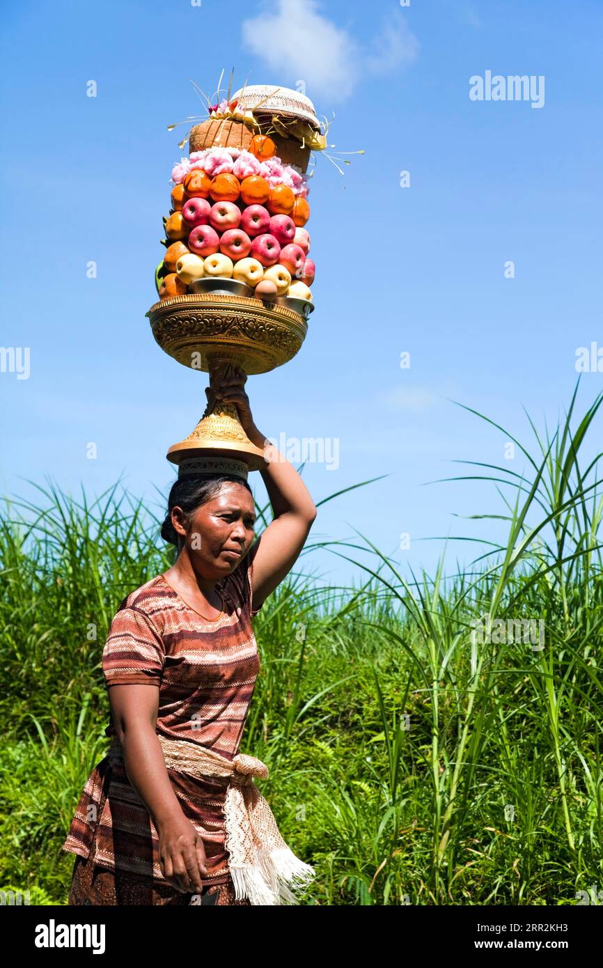 Woman carrying fruit on her head, offerings, Bali, Indonesia, Southeast ...