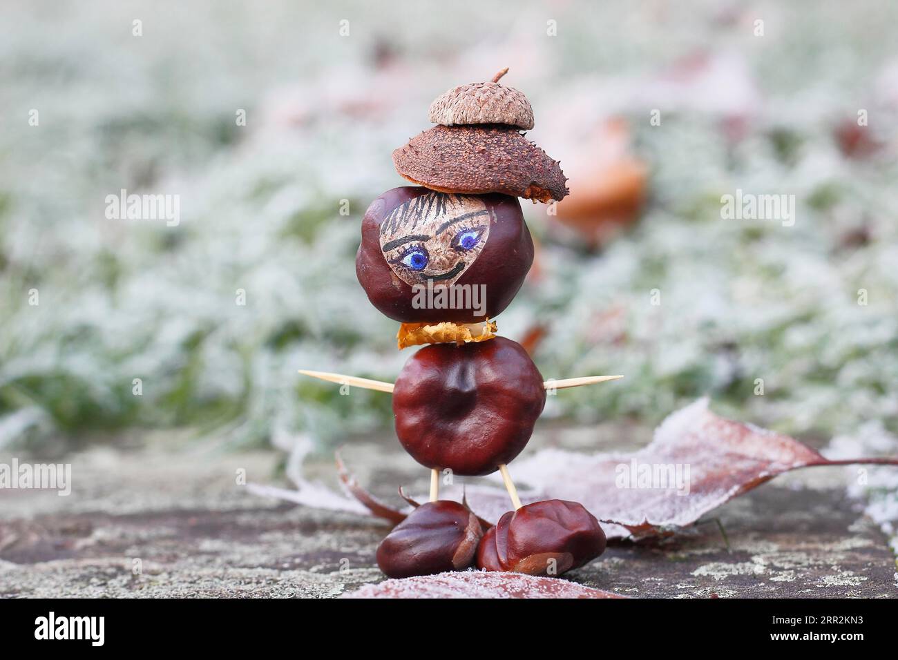 Funny chestnut figure in winter, North Rhine-Westphalia, Germany Stock ...