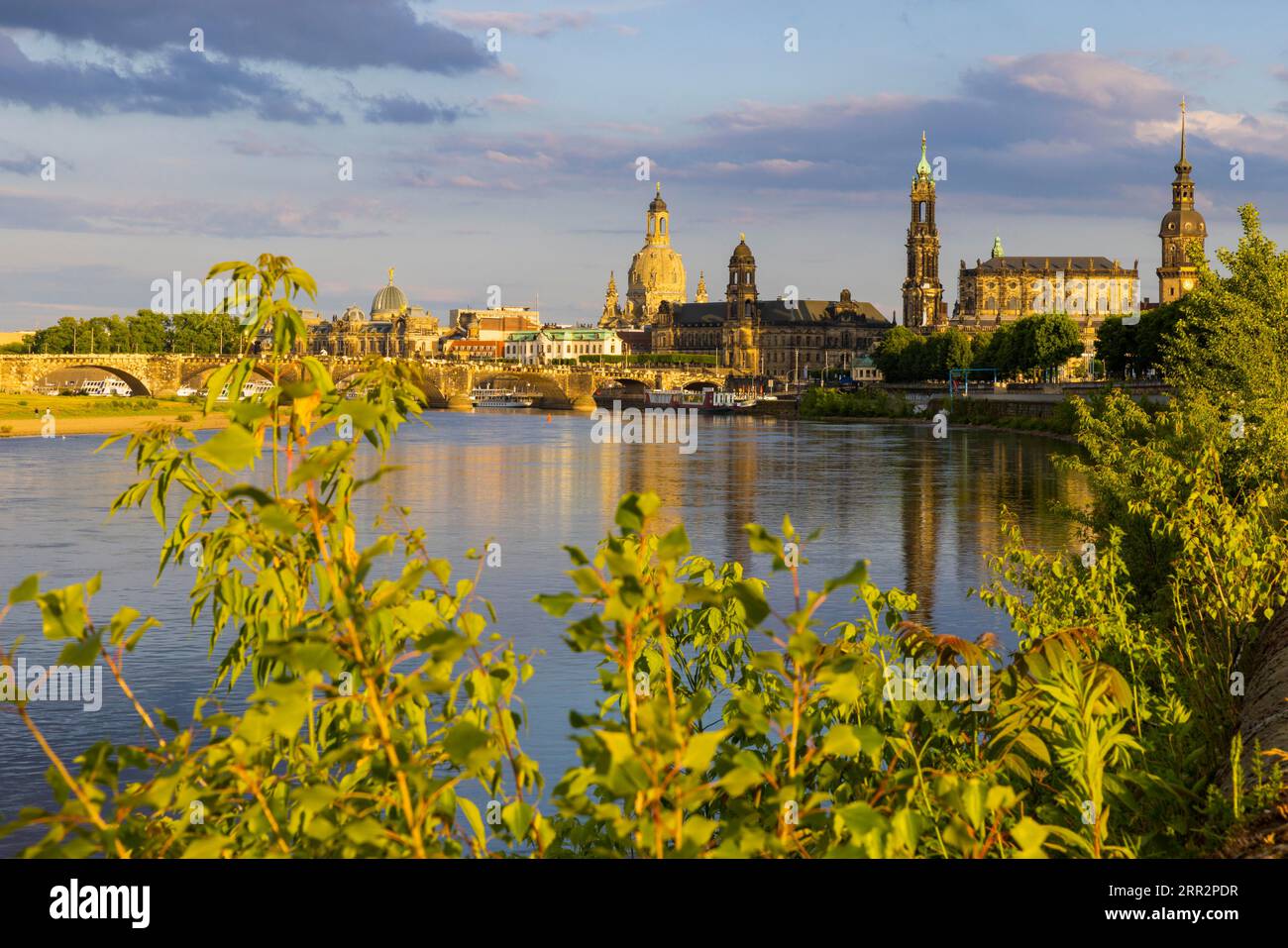 Reserve elbe valley meadows hi-res stock photography and images - Alamy