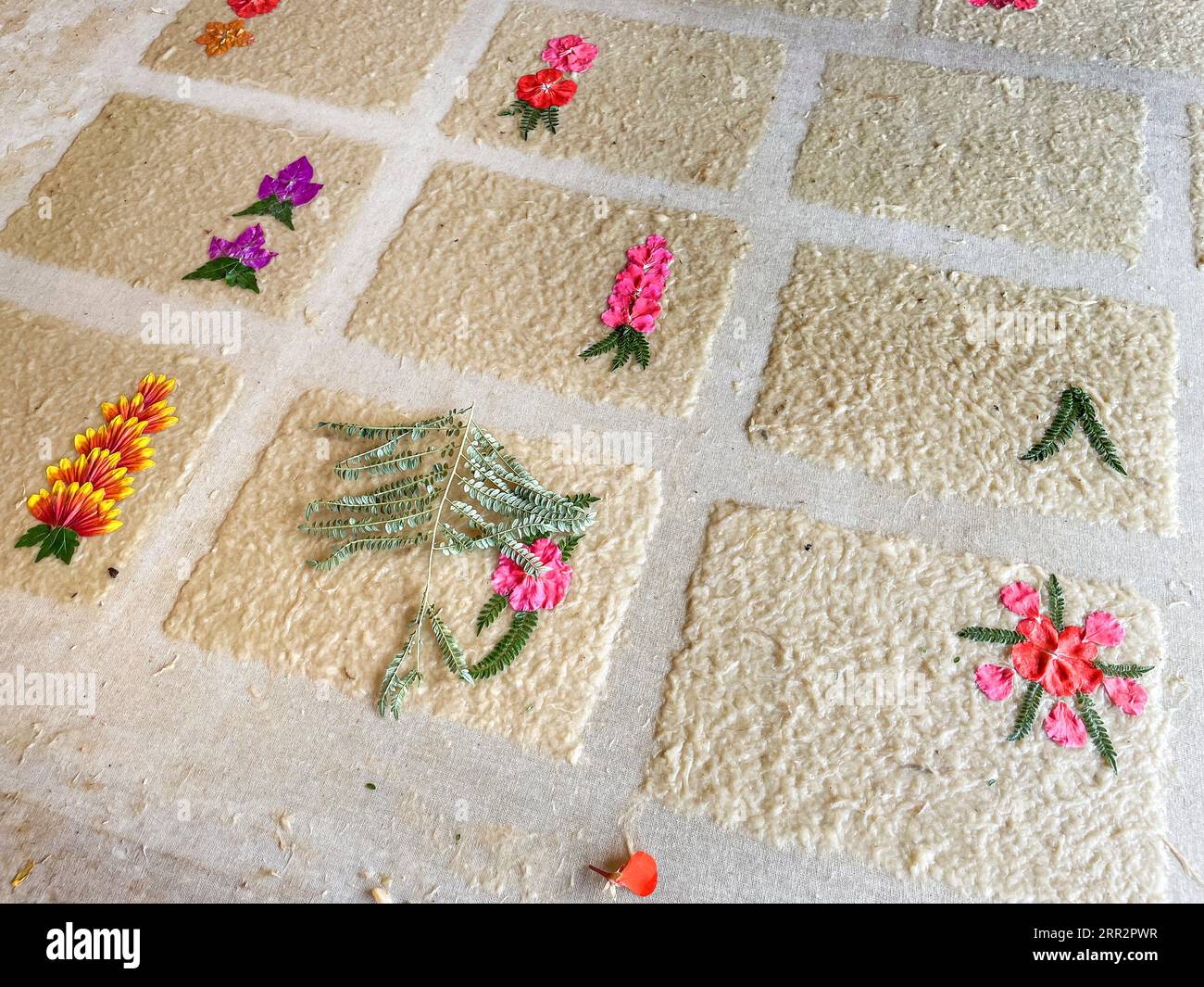 Madagascar, Ambalavao, Antemoro Paper factory Stock Photo - Alamy