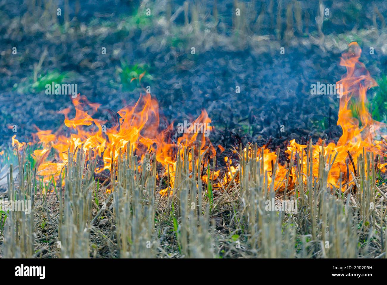 During controlled field fires, the firefighters were able to test ...