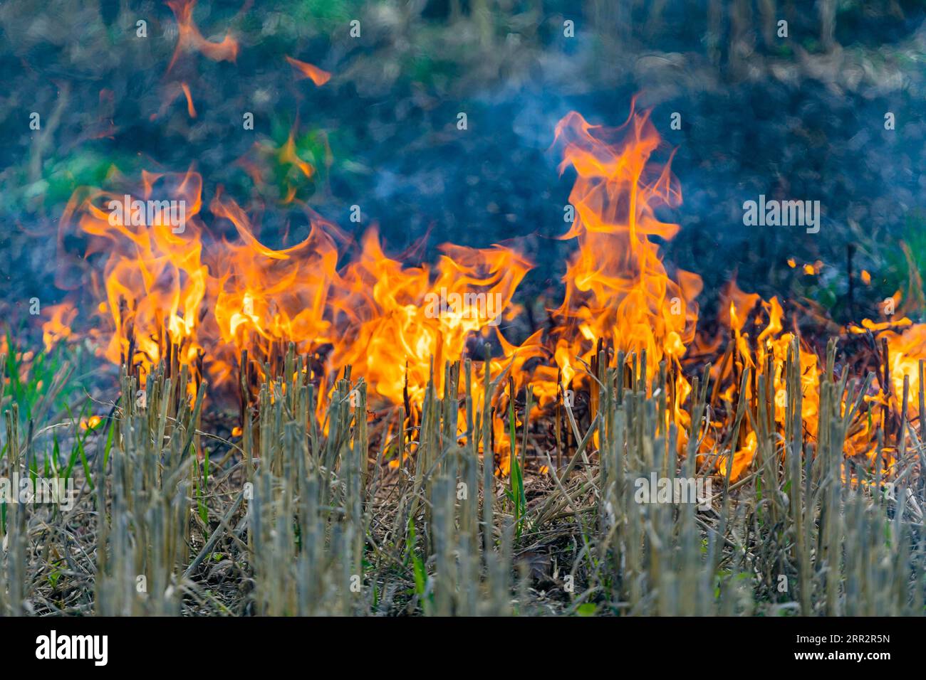During controlled field fires, the firefighters were able to test ...