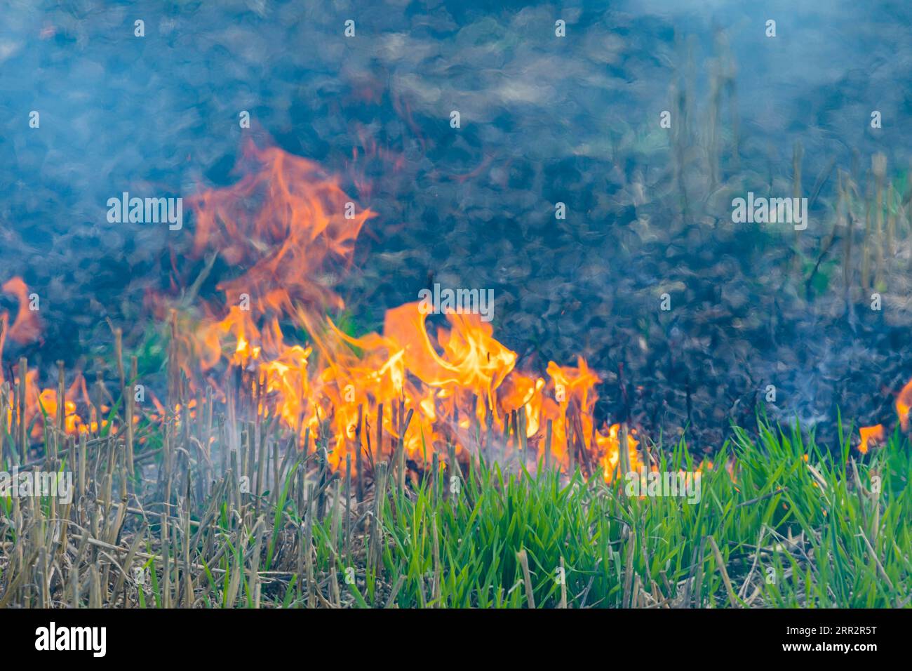 During controlled field fires, the firefighters were able to test ...